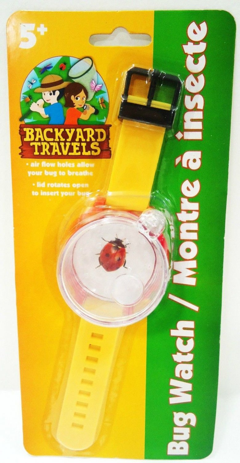 BACKYARD - DISCOVERY - OUTDOOR - BUG - INSECT - WATCH - GLASS ...