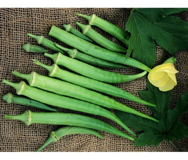 150 Perkins Long Pod Okra seeds * Heirloom * Non GMO * CombSH M45