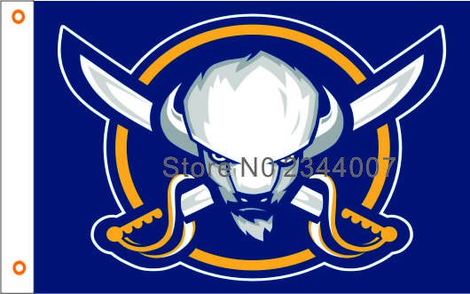 Buffalo Sabres Flag 3x5 FT 150X90CM Banner 100D Polyester flag