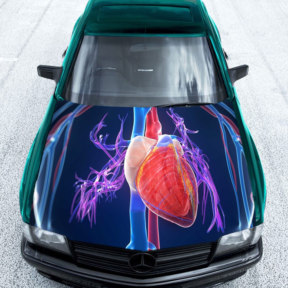 Heart Blood Vessels Veins Full Color Car Decal Sticker KC-35 FRST