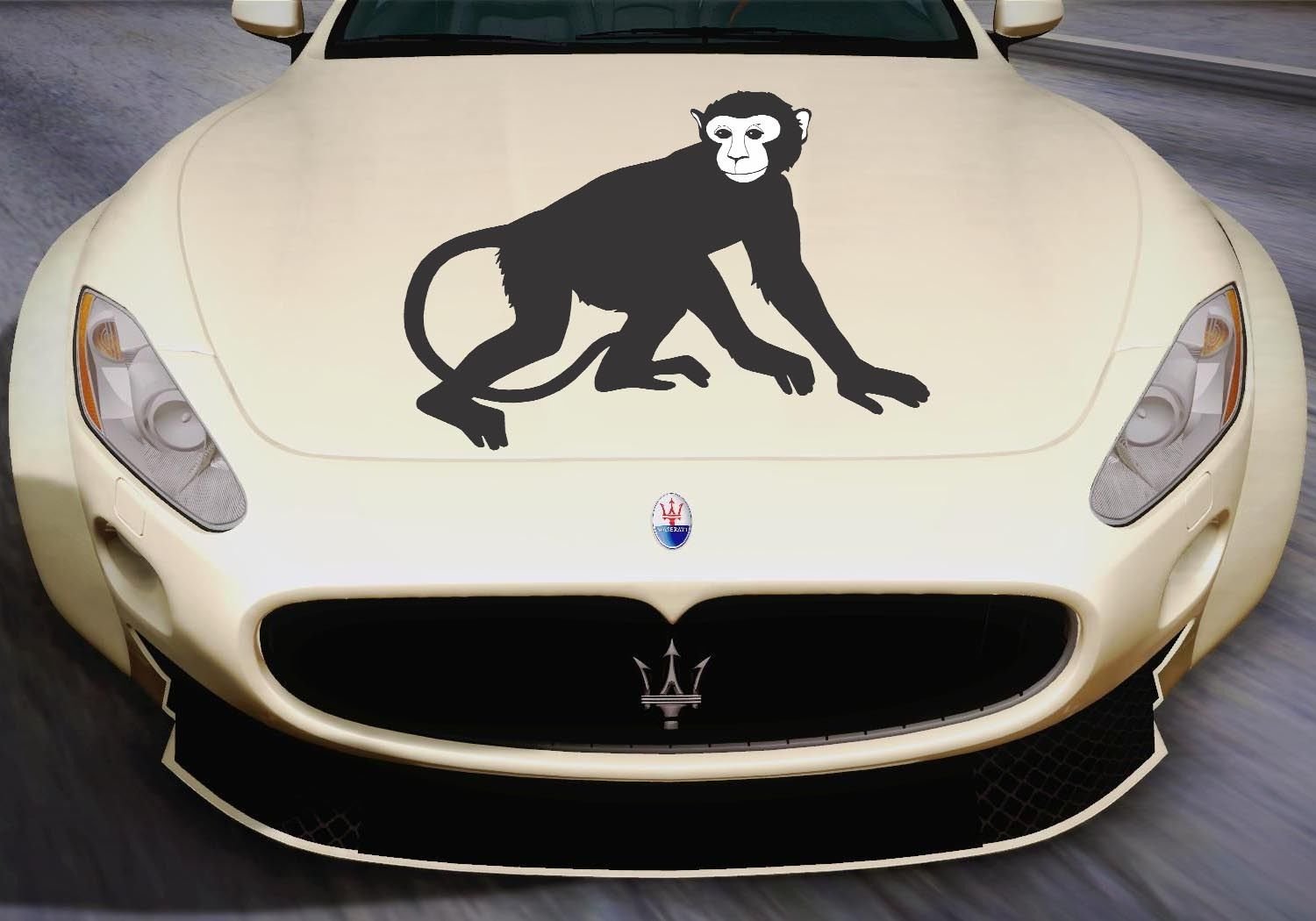 Monkey Wild Animals Zoo Full Color Car Decal Sticker KC-107 FRST