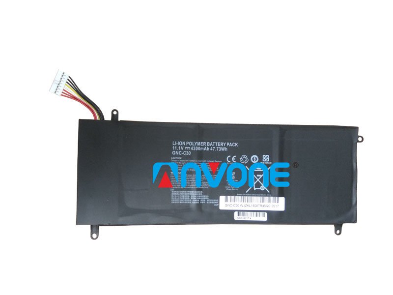 GNC-C30 Battery 961TA002F For GIGABYTE P34G V2 U2442 U24F SCHENKER XMG C404