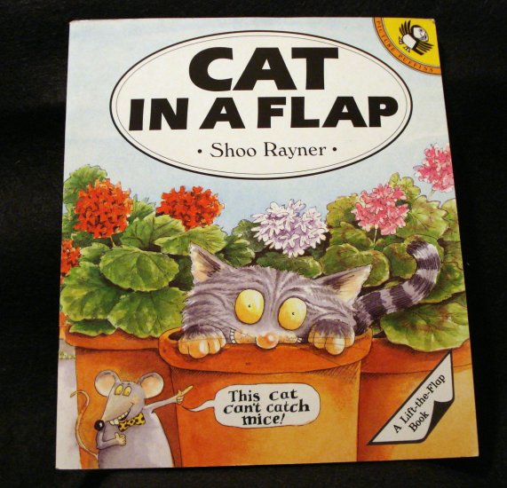Cat in a Flap Shoo Rayner children's lift-the-flap book cm1244