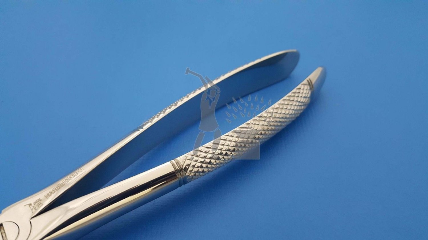 Dental Extraction Forceps, Fig 51 L Dentist Dental Oral Surgery Instruments