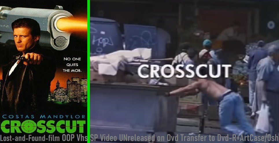 Crosscut~1995 Movie~Costas Mandylor,Megan Gallagher,Casey Sander,Jay ...
