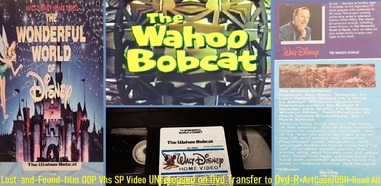 The Wahoo Bobcat~1963~Magical,Wonderful World of Disney~Dvd -R+ArtCase ...