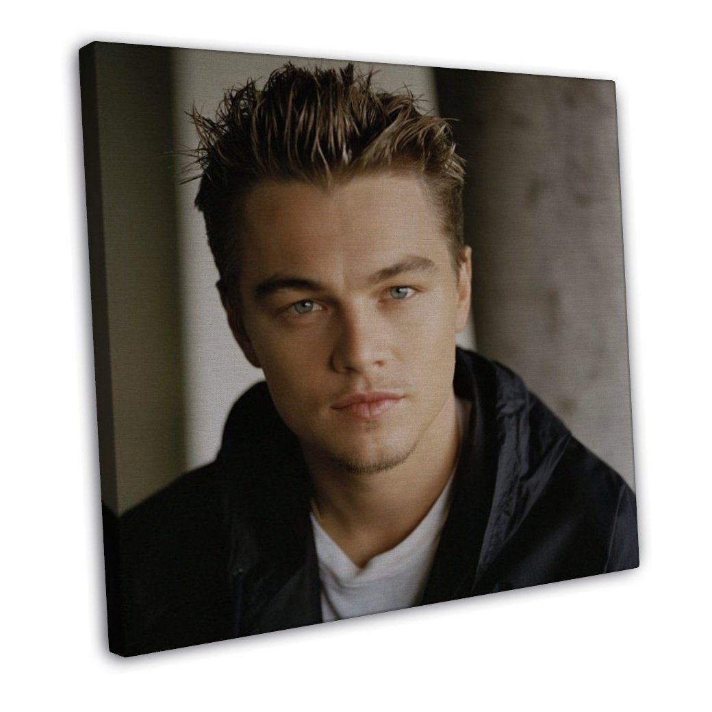 Leonardo Di Caprio Actor Star Art 20x16 inch Framed Canvas Print Decor