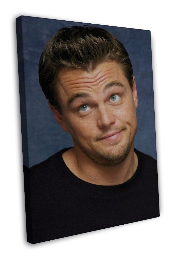 Leonardo Di Caprio Actor Star Art 16x12 inch Framed Canvas Print Decor
