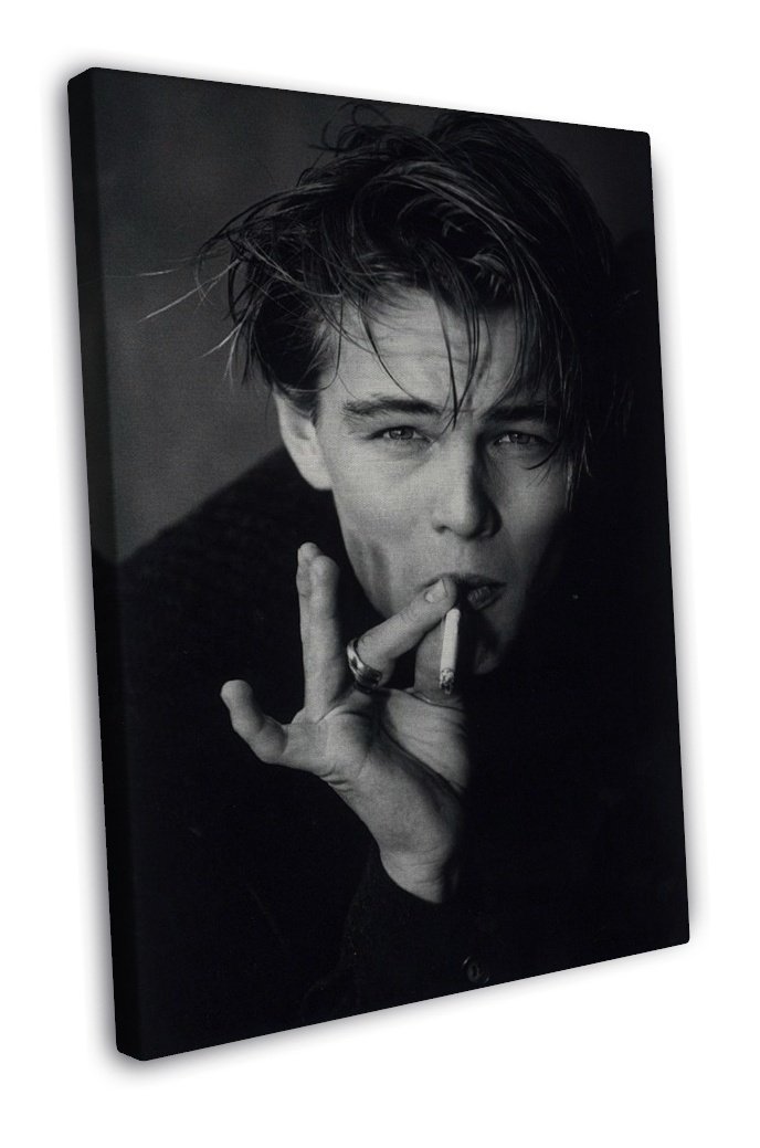 Leonardo Di Caprio Actor Star Art 20x16 inch Framed Canvas Print Decor