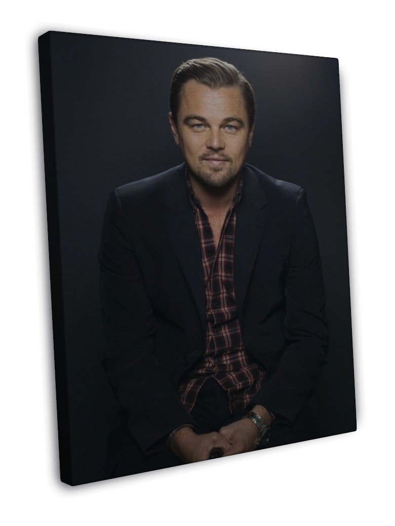 Leonardo Di Caprio Actor Star Art 20x16 inch Framed Canvas Print Decor