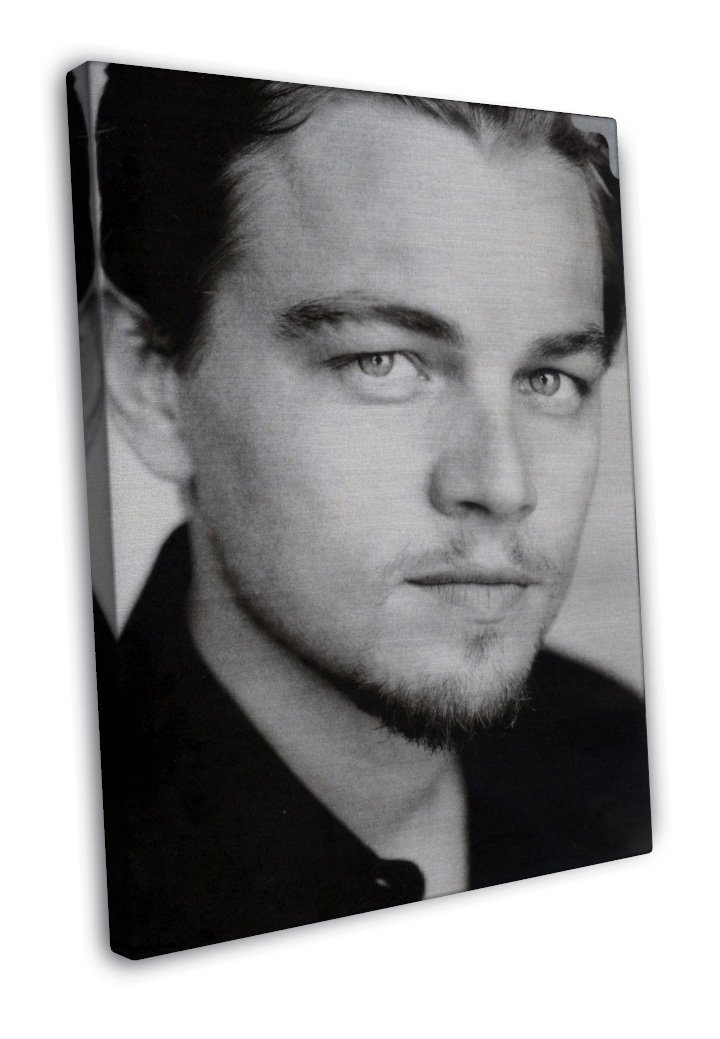 Leonardo Di Caprio Actor Star Art 20x16 inch Framed Canvas Print Decor