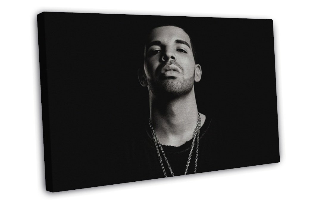 Drake Black White 20x16 inch Framed Canvas Print
