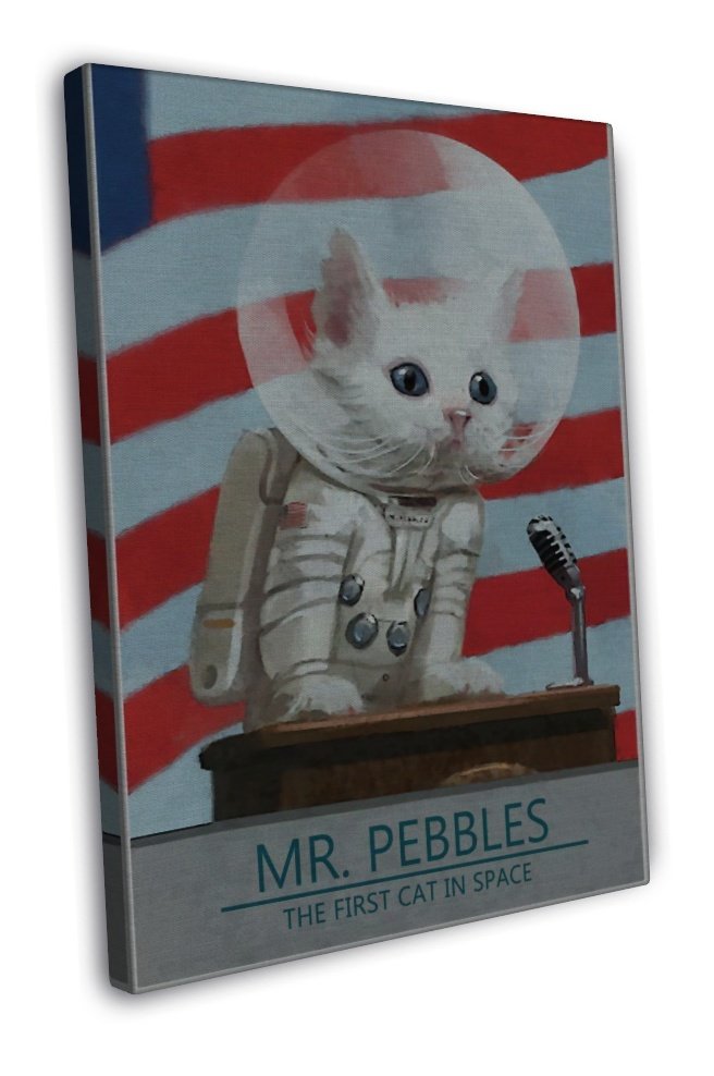 Mr Pebbles The First Cat In Space Funny 20x16 inch Framed Canvas Print