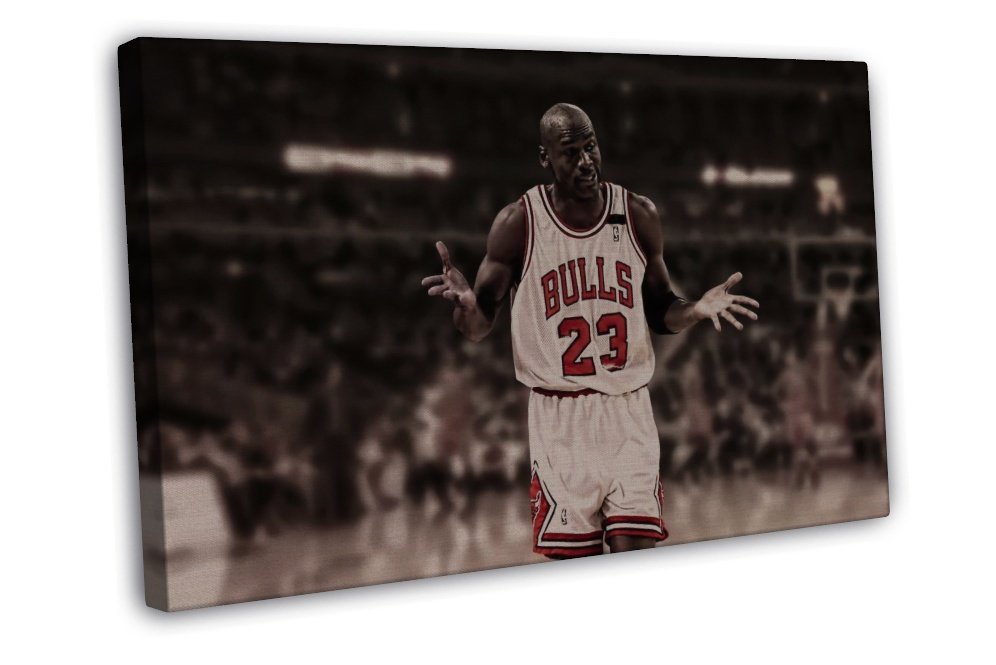 Michael Jordan Shrug Basketball 20x16 inch FRAMED CANVAS Print