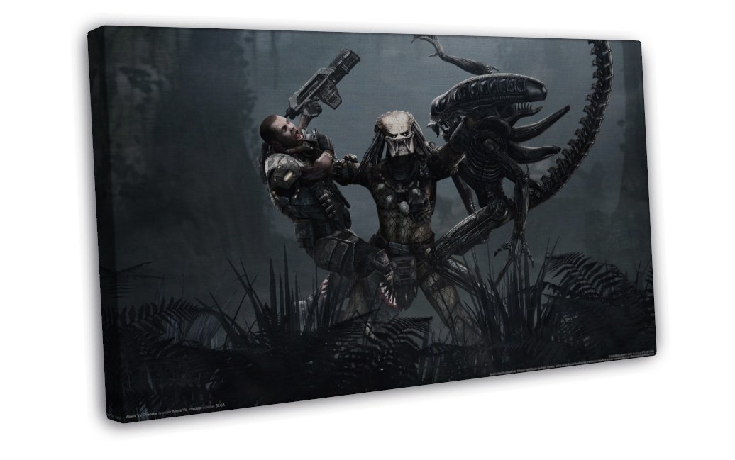 Aliens Vs Predator Game Wall Decor 20x16 inch Framed Canvas Print