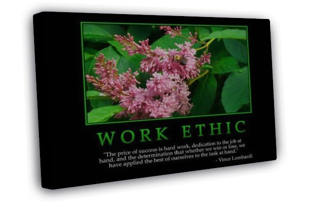 Work Ethic Motivational Quotes Art 20x16 inch Framed Canvas Print
