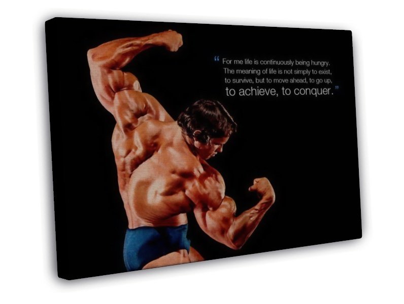Conquer Arnold Schwarzenegger Motivational Quotes 20x16 inch Framed ...