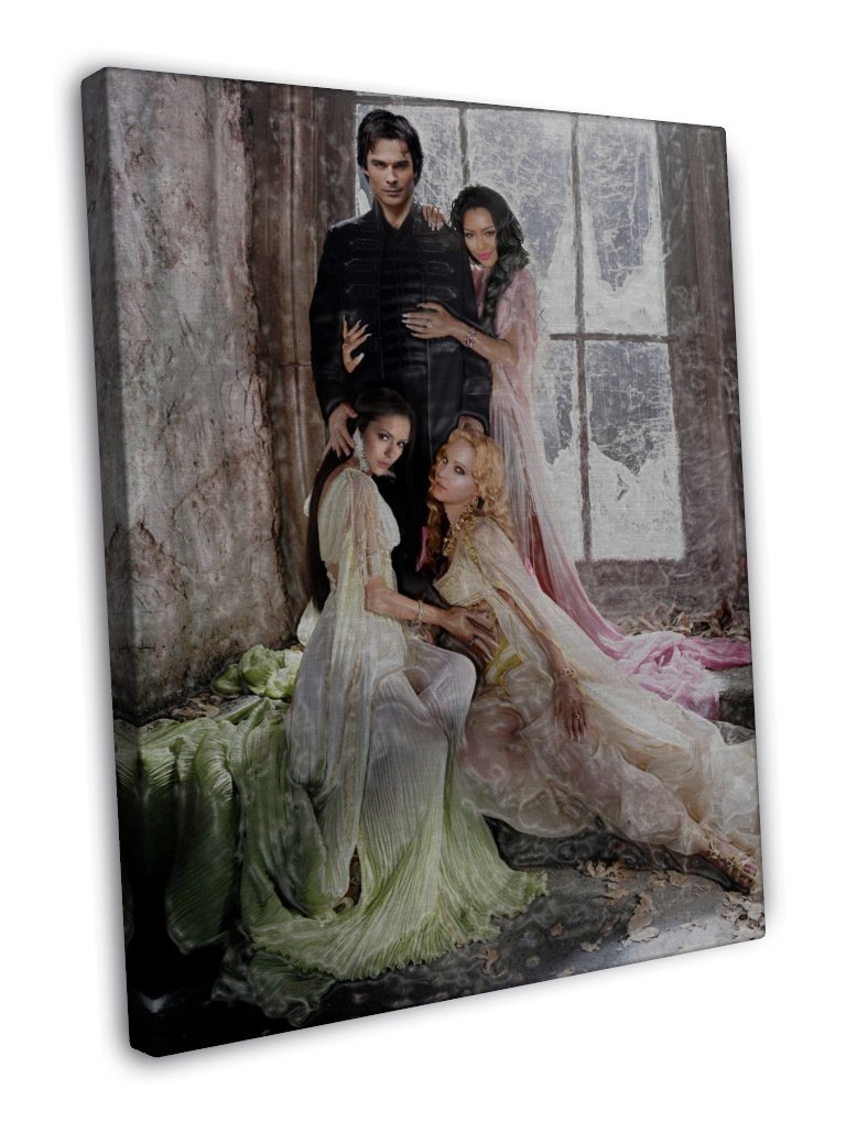 The Vampire Diaries Tv Show Wall Decor 20x16 inch Framed Canvas Print