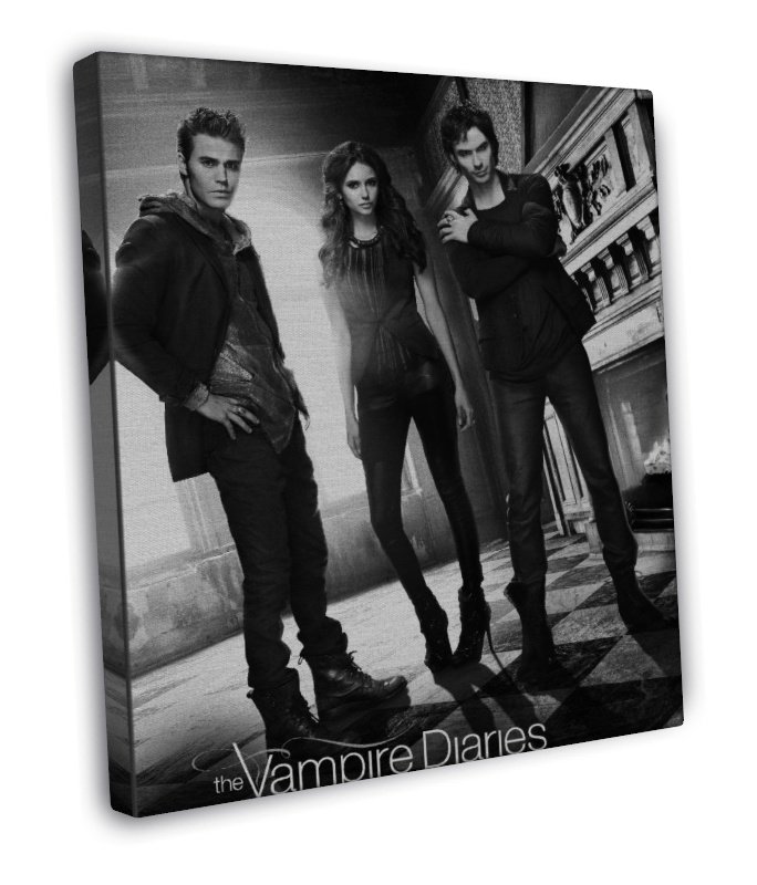 The Vampire Diaries Tv Show Wall Decor 20x16 inch Framed Canvas Print