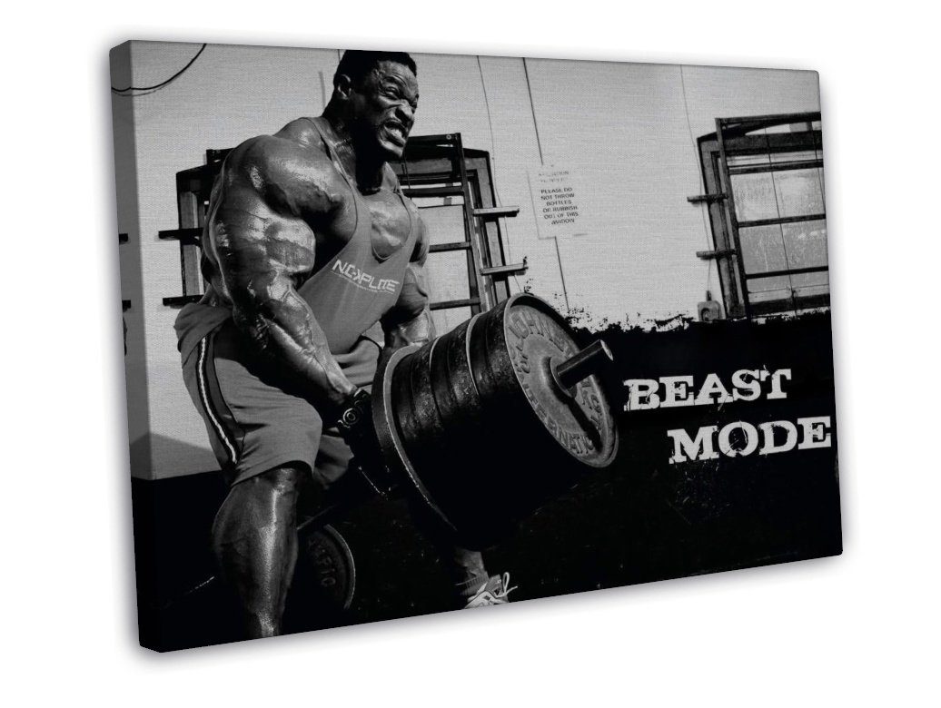 Bodybuilding Fitness Motivation Art 20x16 inch FRAMED CANVAS Print Decor