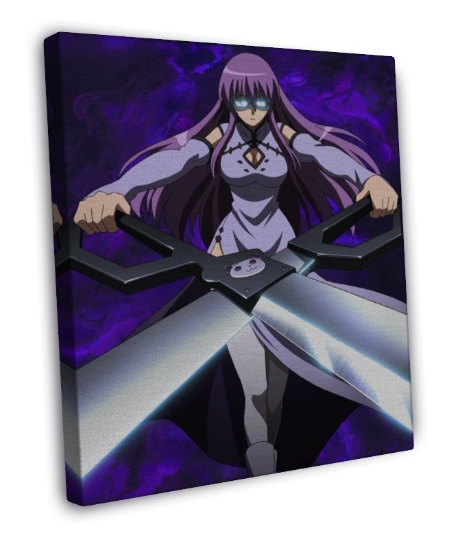 Akame Ga Kill Anime Wall Decor 20x16 inch Framed Canvas Print