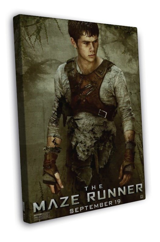 The Maze Runner Movie Art Thomas 20x16 inch Framed Canvas Print