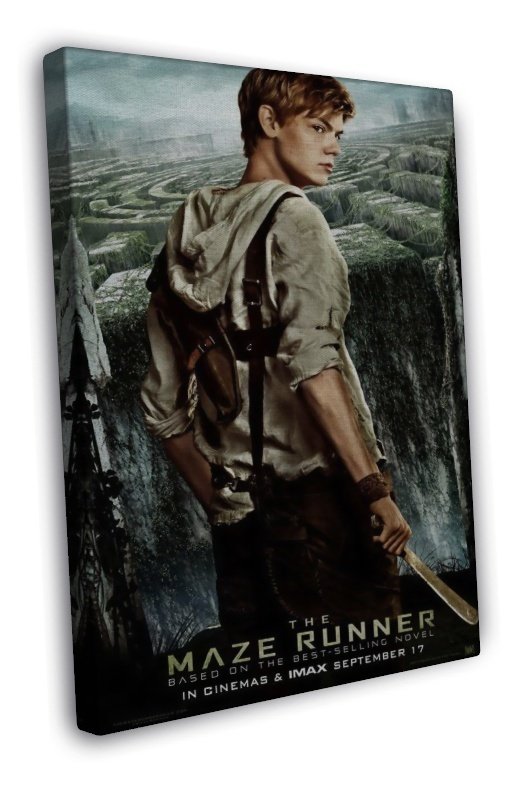 The Maze Runner Movie Art Newt 20x16 inch Framed Canvas Print