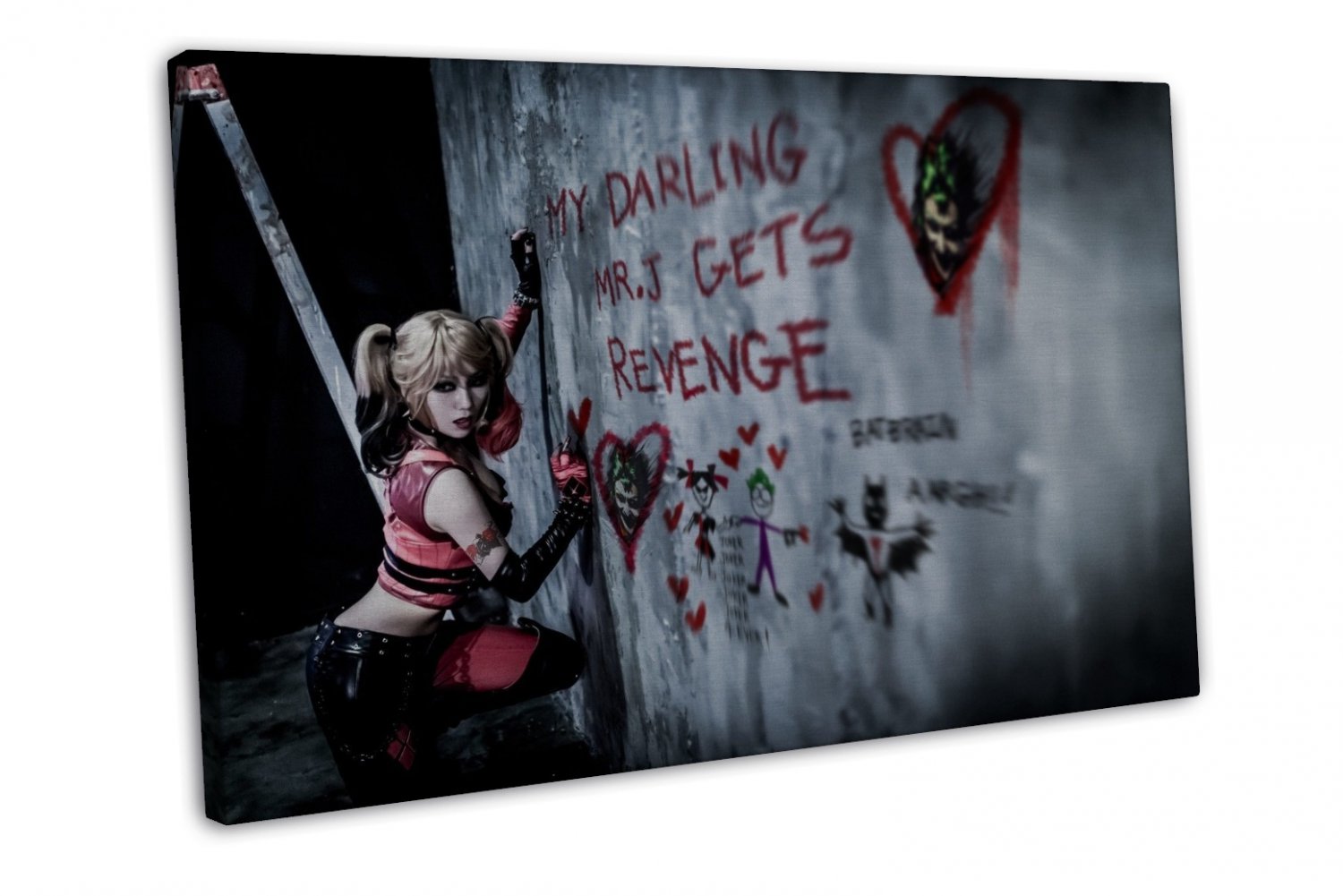 Arkham The Joker Harley Quinn Art 16x12 inch Framed Canvas Print Decor