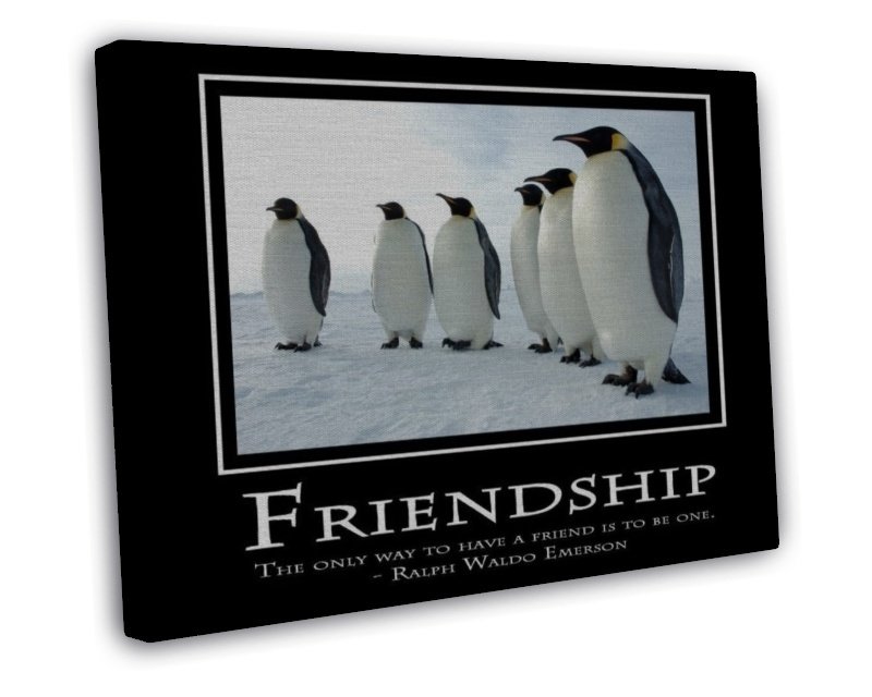 Penguins Leadership Motivational Art 16x12 inch FRAMED CANVAS Print Decor