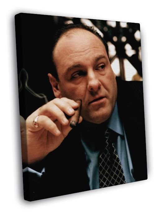 Tony Soprano Portrait The Sopranos James Gandolfini 20x16 inch FRAMED ...