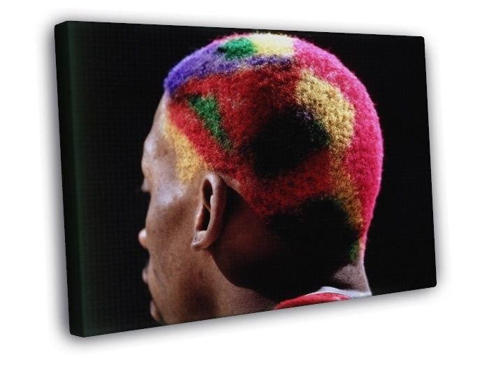 Dennis Rodman Hair Colors Chicago Bulls Retro Sport 20x16 inch FRAMED ...