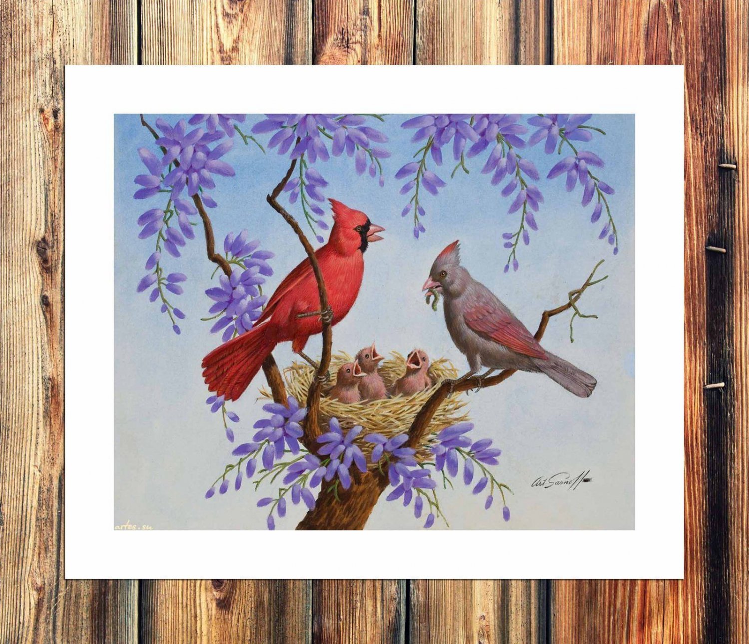 Arthur Saron Sarnoff Decor 20x16 inch FRAMED CANVAS PRINT