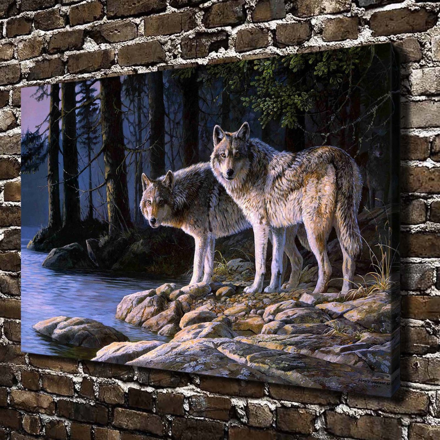 Weirs Shades of Gray Wolf Animal 20x16 inch FRAMED CANVAS PRINT