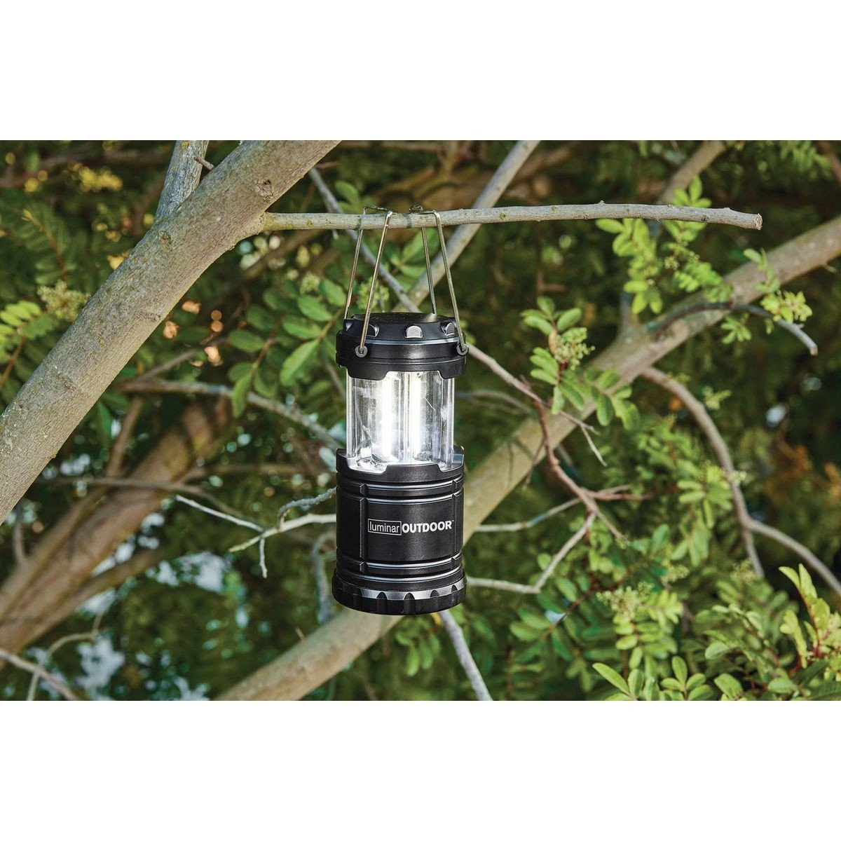 Compact Pop-Up Lantern , 250 Lumen