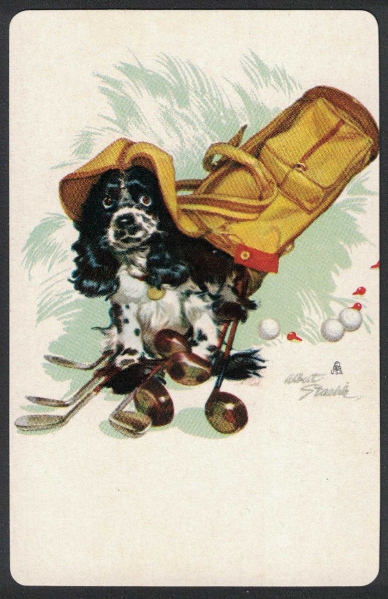 JOKER COCKER SPANIEL BUTCH DOG STAEHLE GOLF NO AD SINGLE PLAYING SWAP CARD