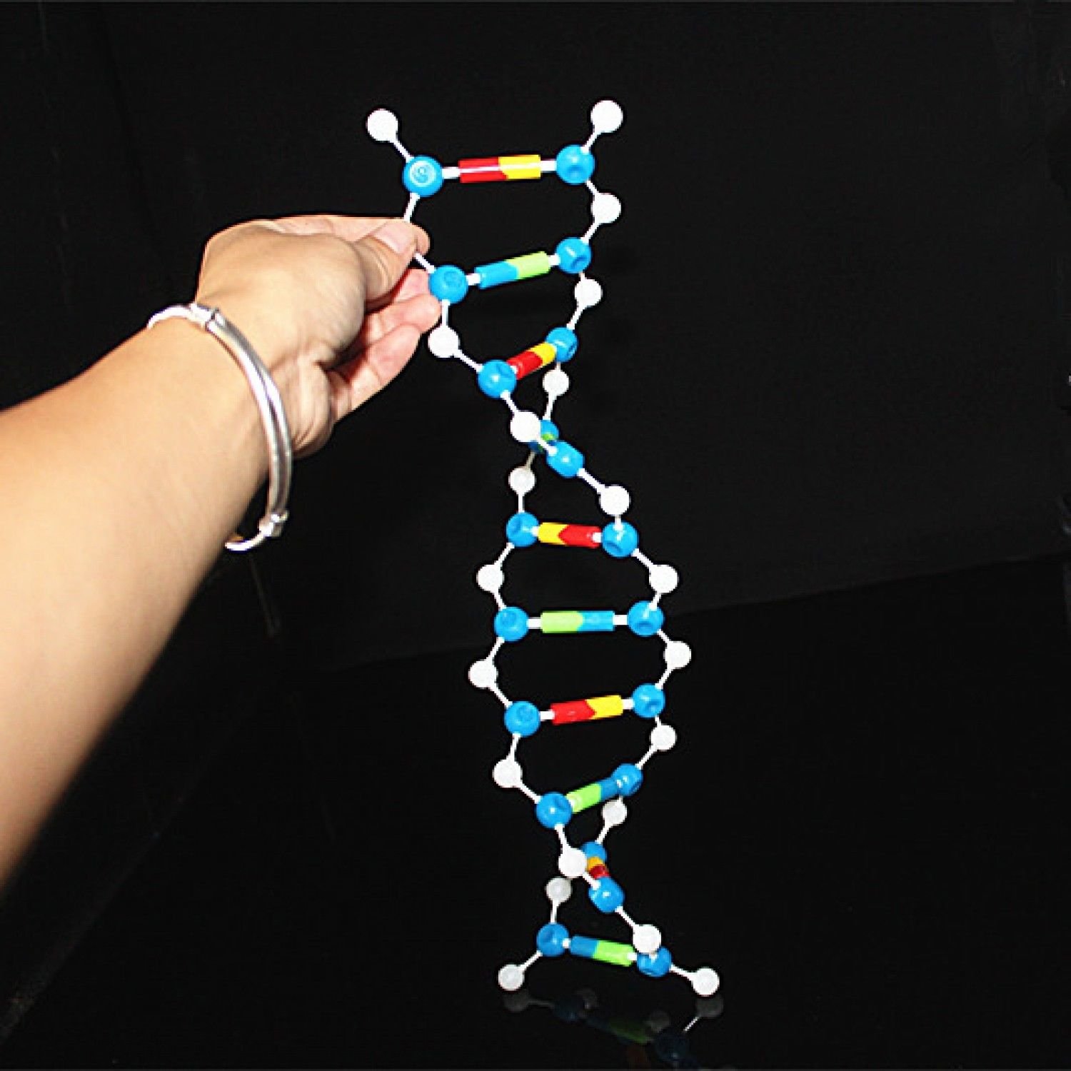 DNA Model Kit Biological Molecular Models Double Helix Molecular Structure