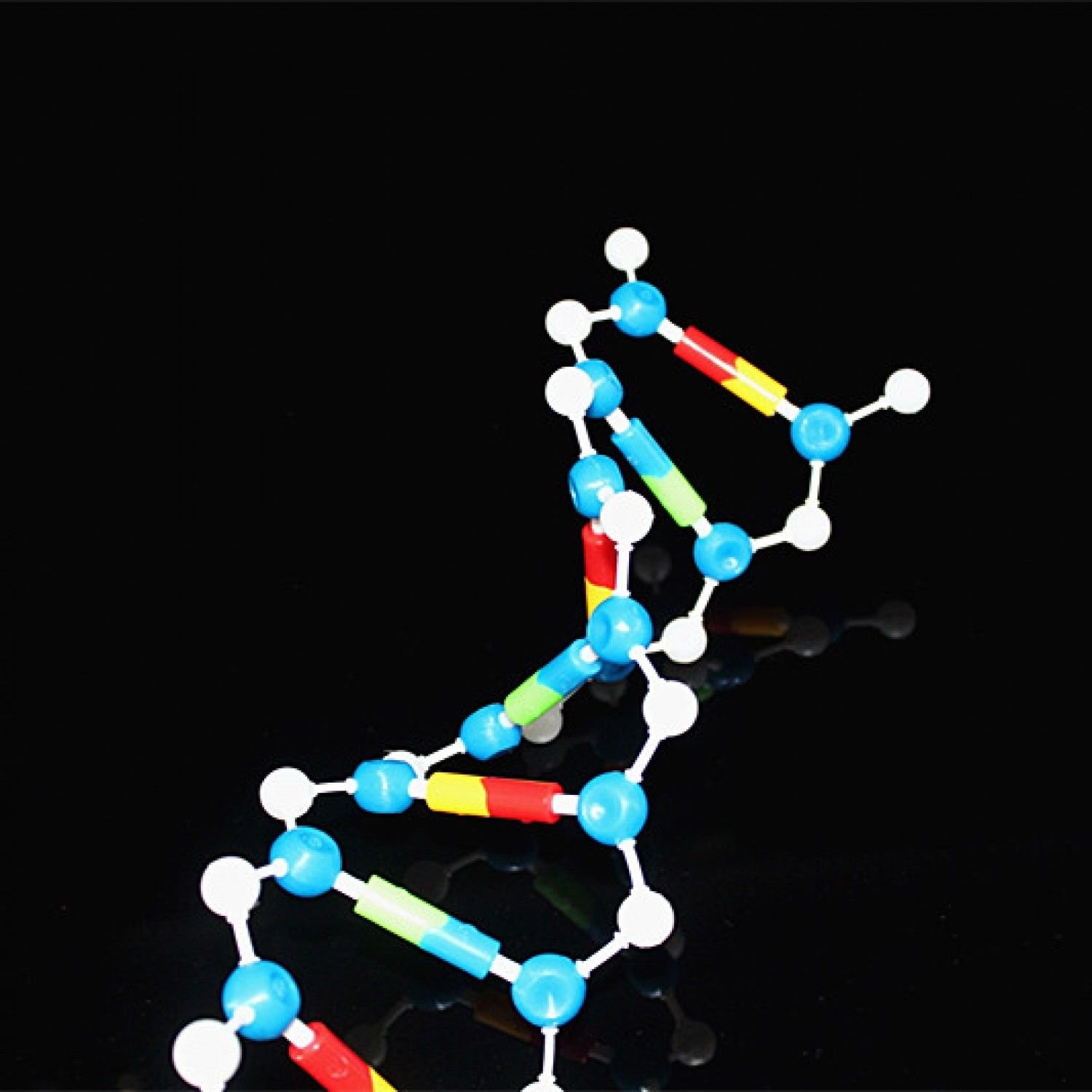 DNA Model Kit Biological Molecular Models Double Helix Molecular Structure