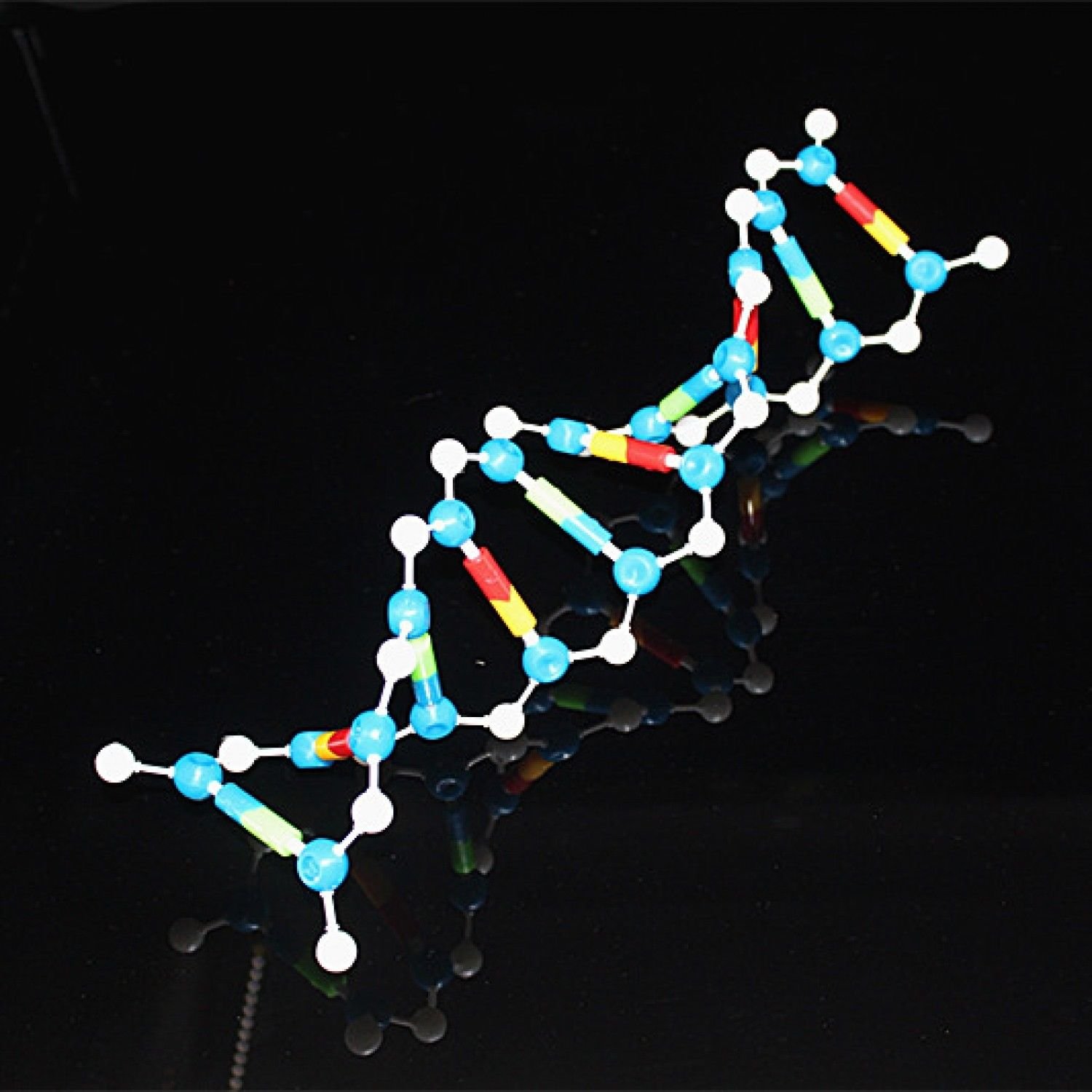 DNA Model Kit Biological Molecular Models Double Helix Molecular Structure