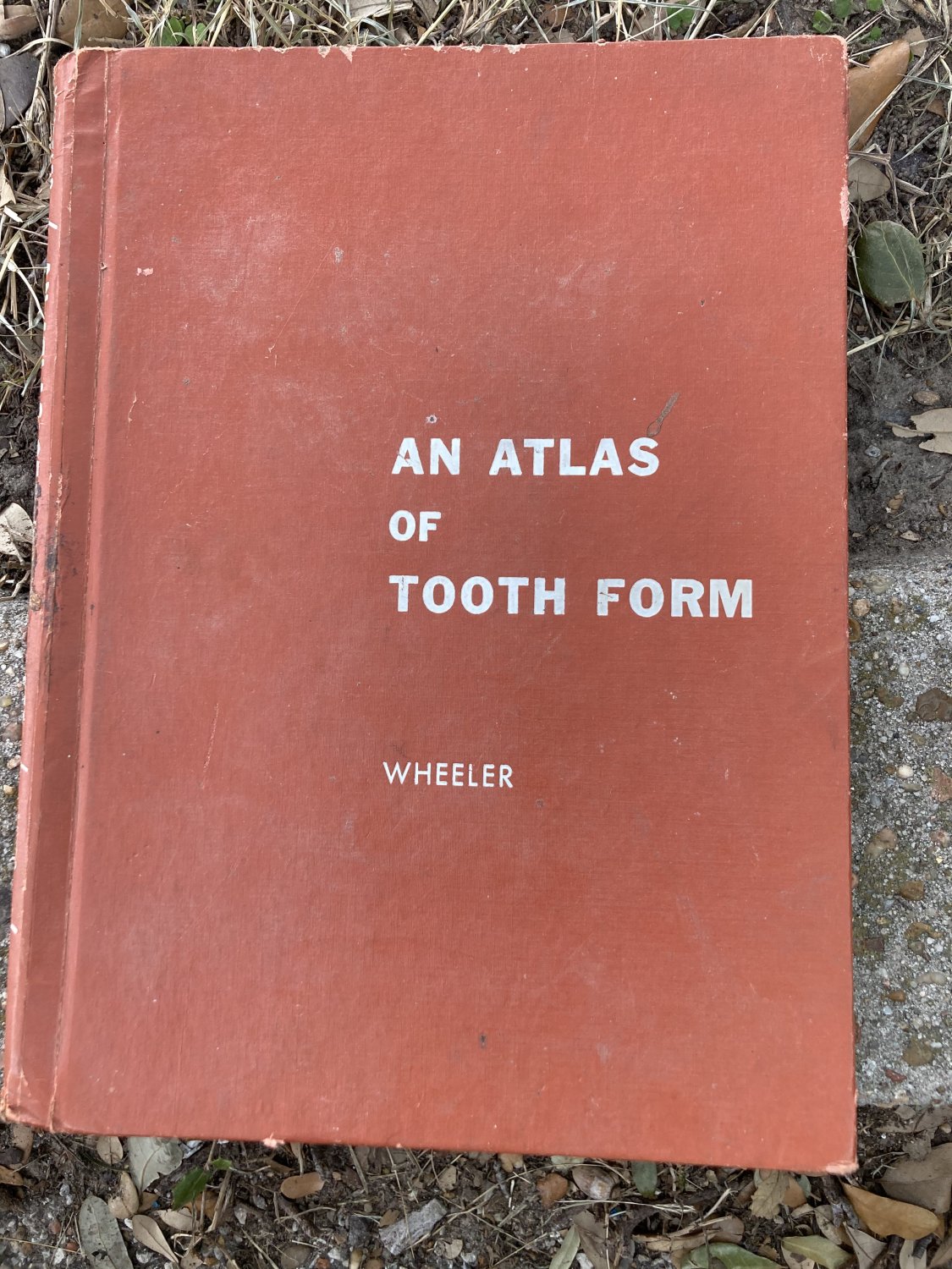 An Atlas Of the tooth form by Wheeler. Great Find