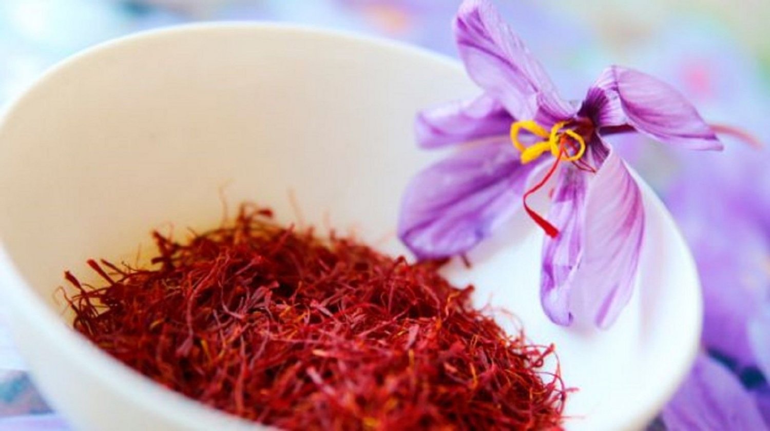 100pcs Mixed Saffron seeds Crocus Autumnale Meadow Sativus Flower Seed ...