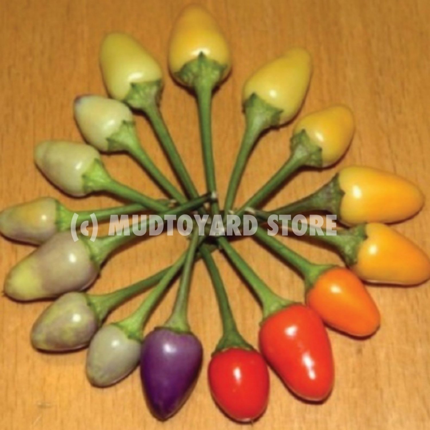100pc Colourful Small chilli pepper seeds Capsicum Frutescens Rainbow ...