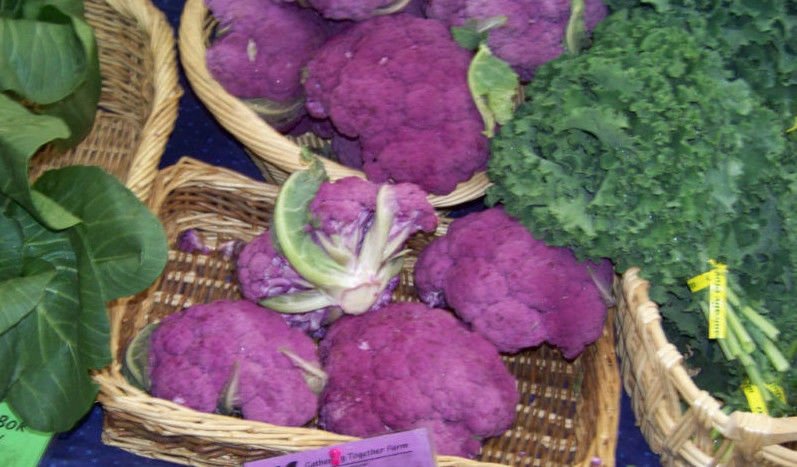 cauliflower, PURPLE OF SICILY, 20 SEEDS!