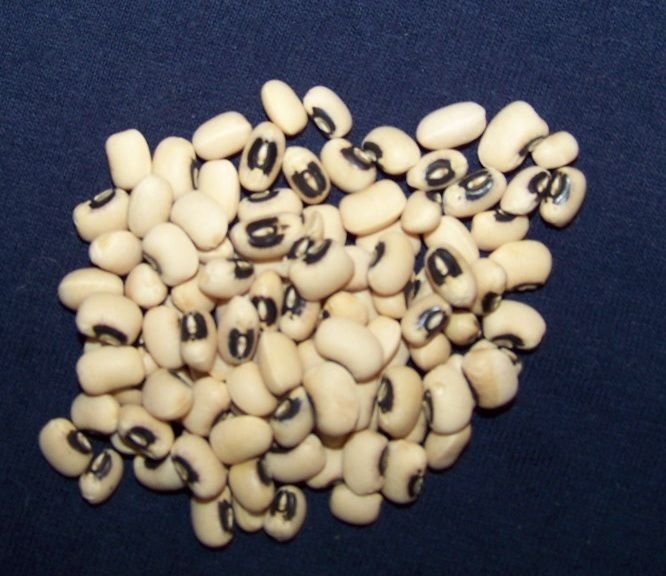 pea, BLACK-EYED, cow peas, grow and store your own, 40 seeds!