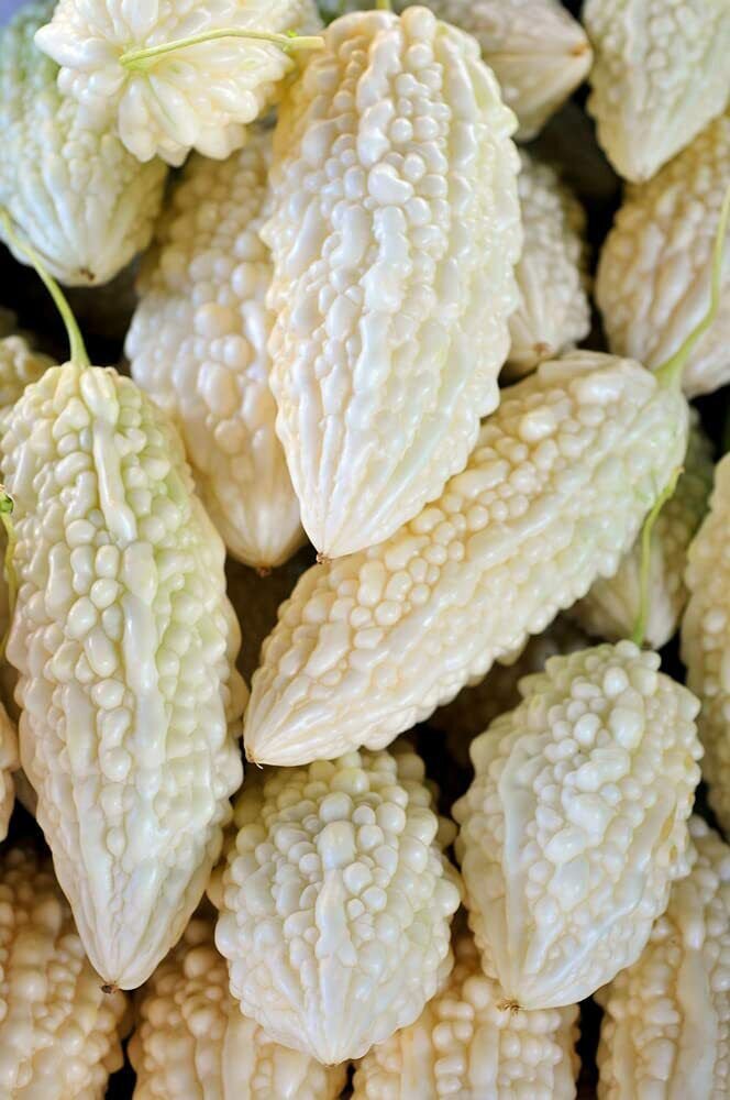 10 Seeds Exotic White Bitter Gourd Seeds for Planting Bitter Melon ...