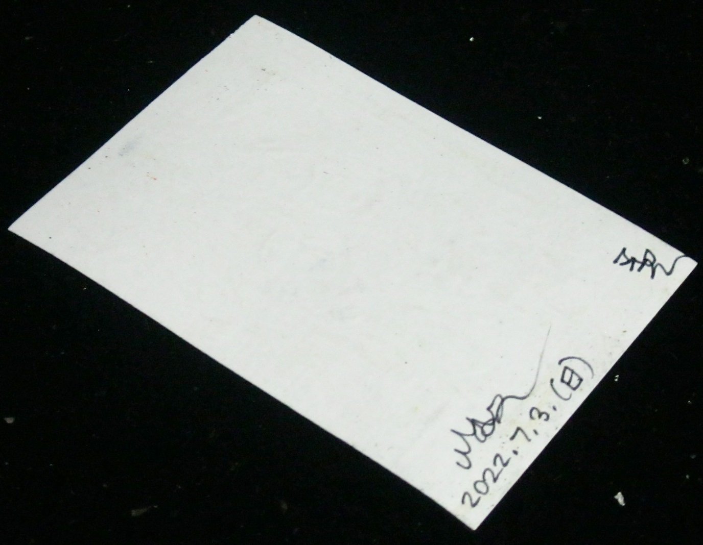 Harry Potter Ron Weasley & Scabbers Rat Anime Art Original Sketch Card ...