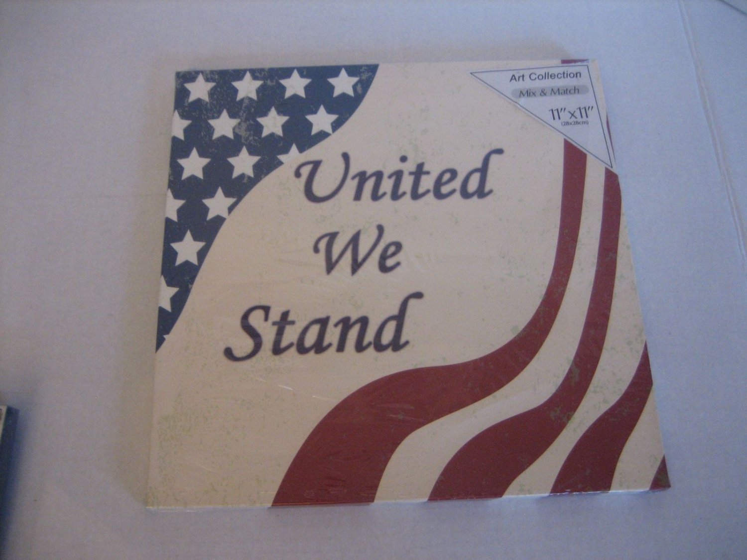 United We Stand Americana Mix&Match Square Wall Hanging Print Picture ...