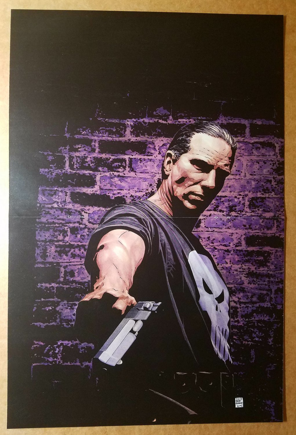 The Punisher Frank Castle Marvel Comics Poster by Tim Bradstreet