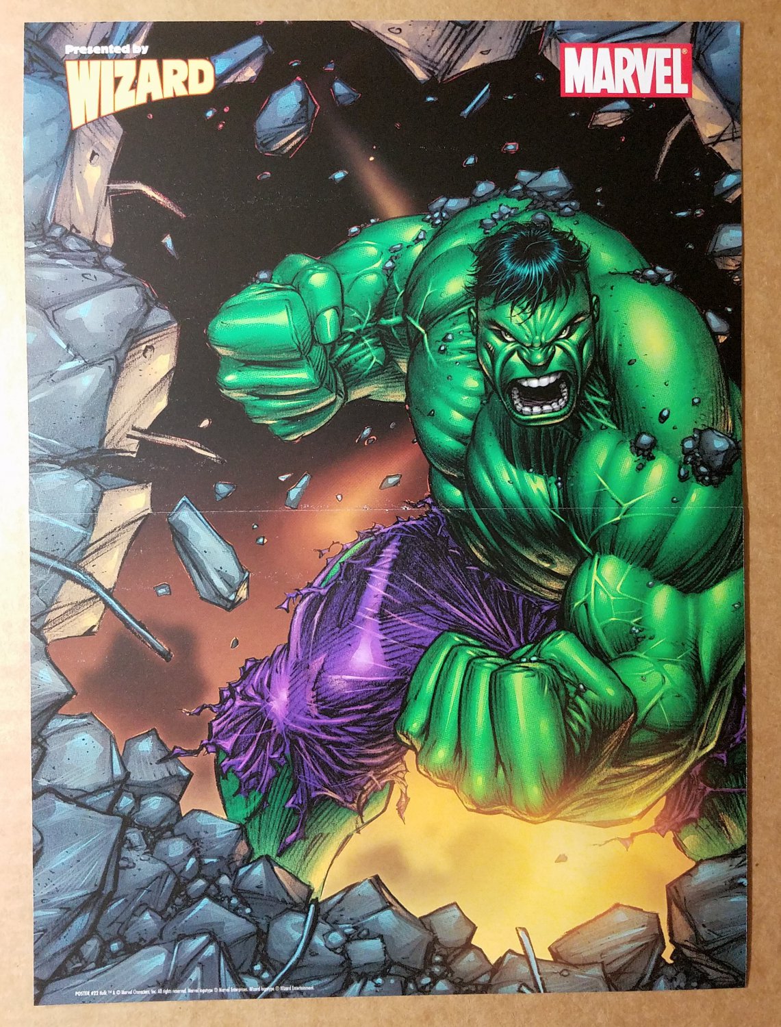 Hulk Marvel Comics Poster by Dale Keown