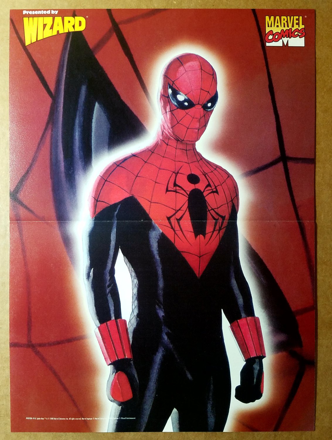 Spider-Man Marvel Comic Poster by Alex Ross