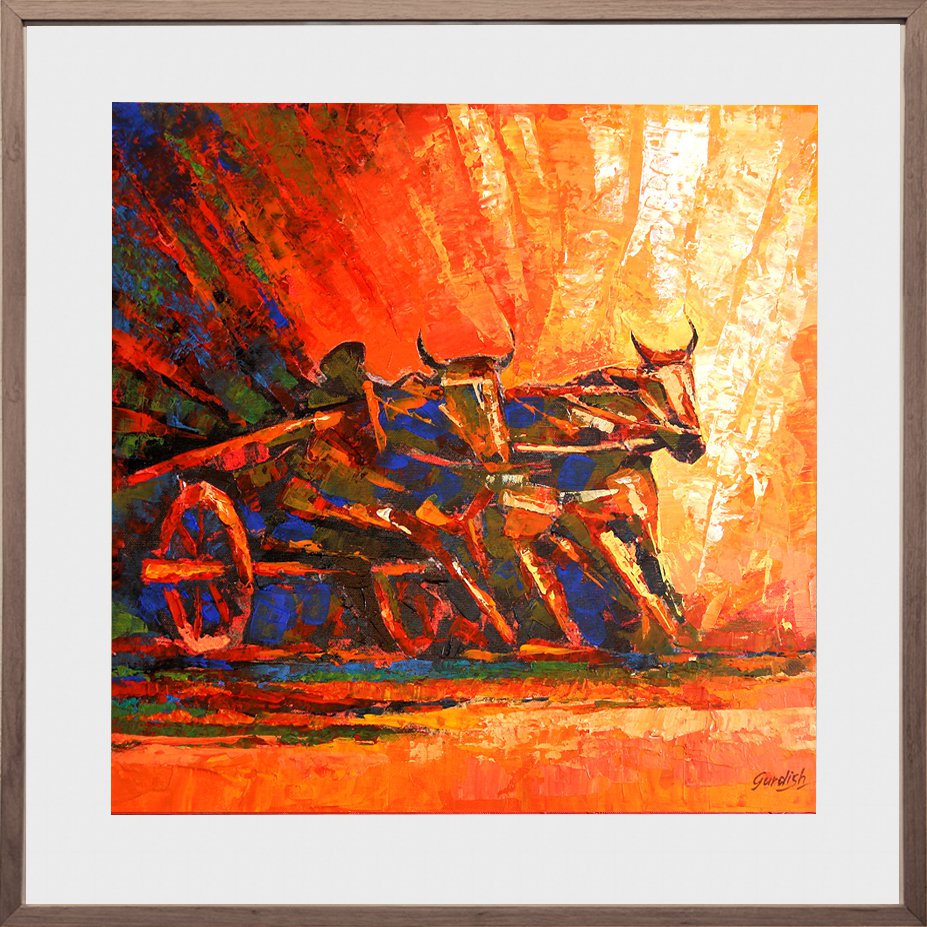 The Colors of Punjab_2